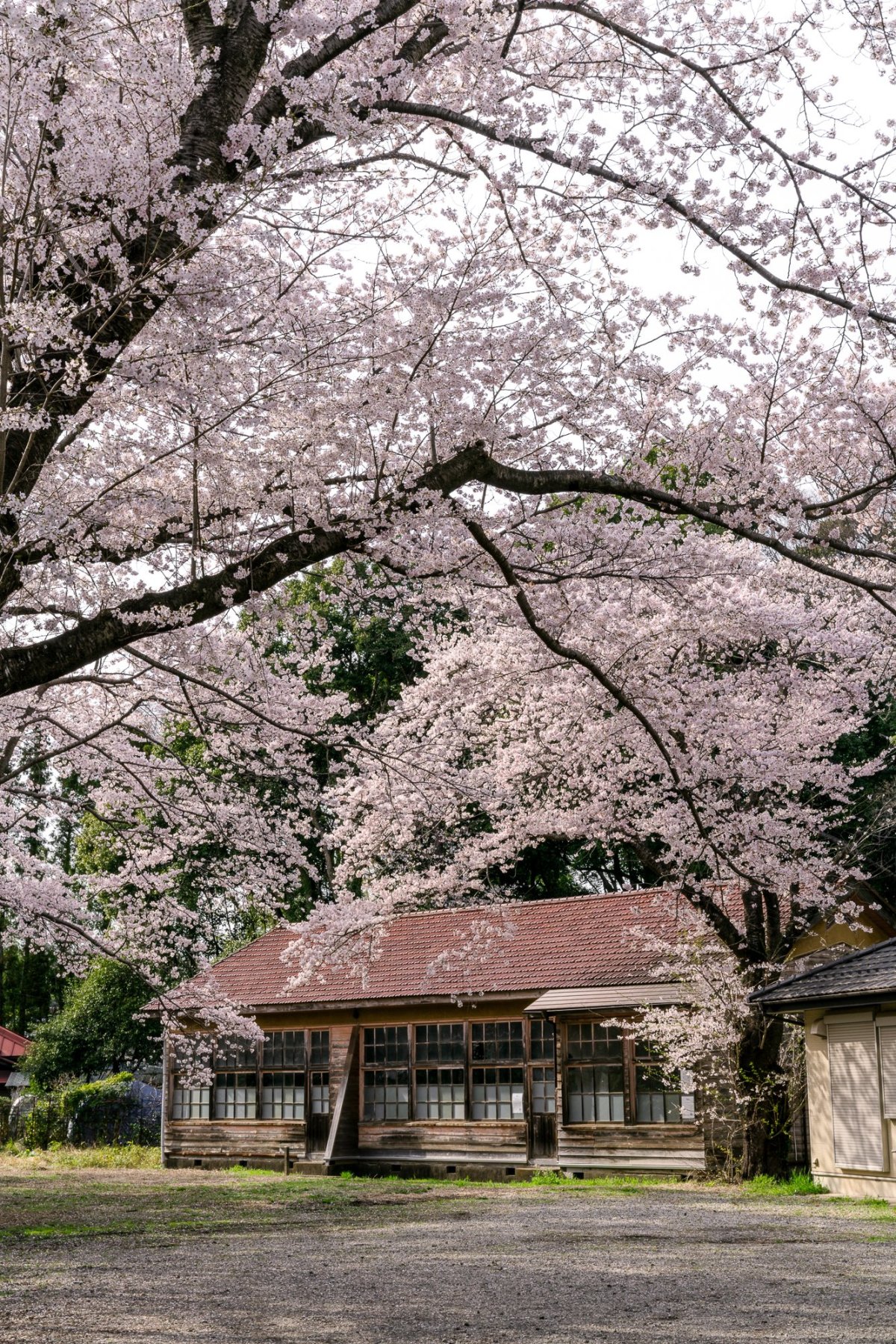 【2022】撮った写真をまとめました。 – toshibo | Urban Exploration Photography